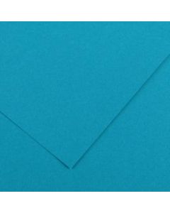 Canson Cardboard / Paper