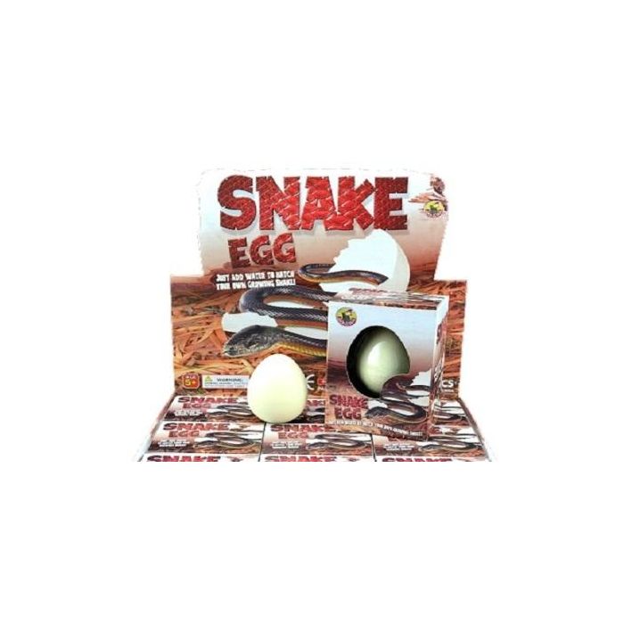 Growing Egg Snake Display of 12 (Min Order Qty 1)